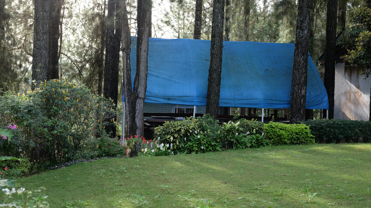 How Much Does It Cost to Tarp a Roof? - CT Roof Replacement and Repair ...